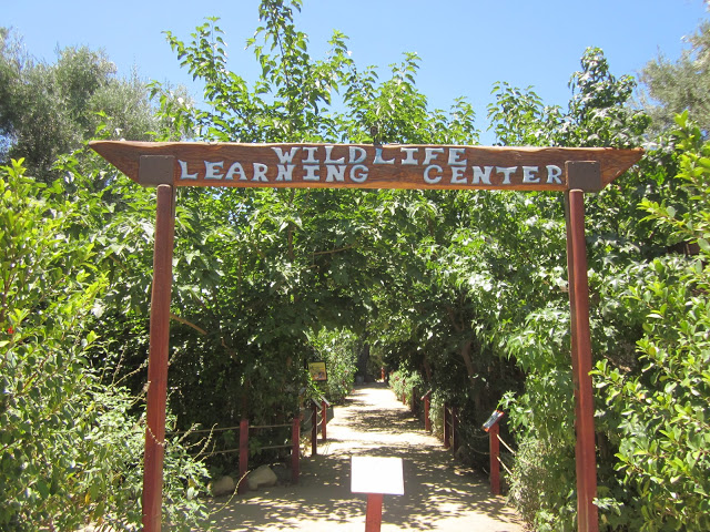 Wildlife Learning Center in North Los Angeles – One Cool Thing Every ...