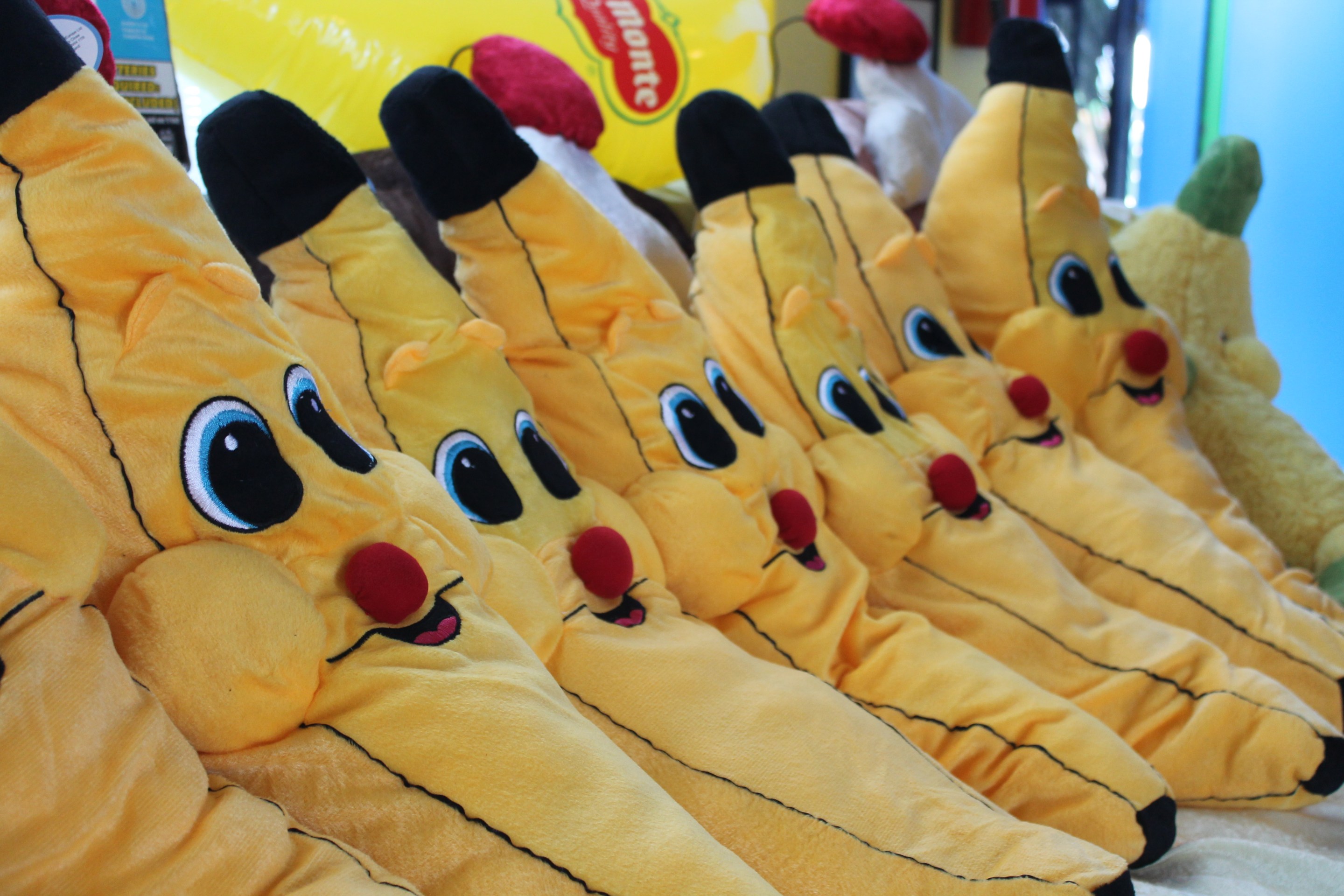 Banana Museum: World’s Largest Collection Of Banana Related Items – One ...