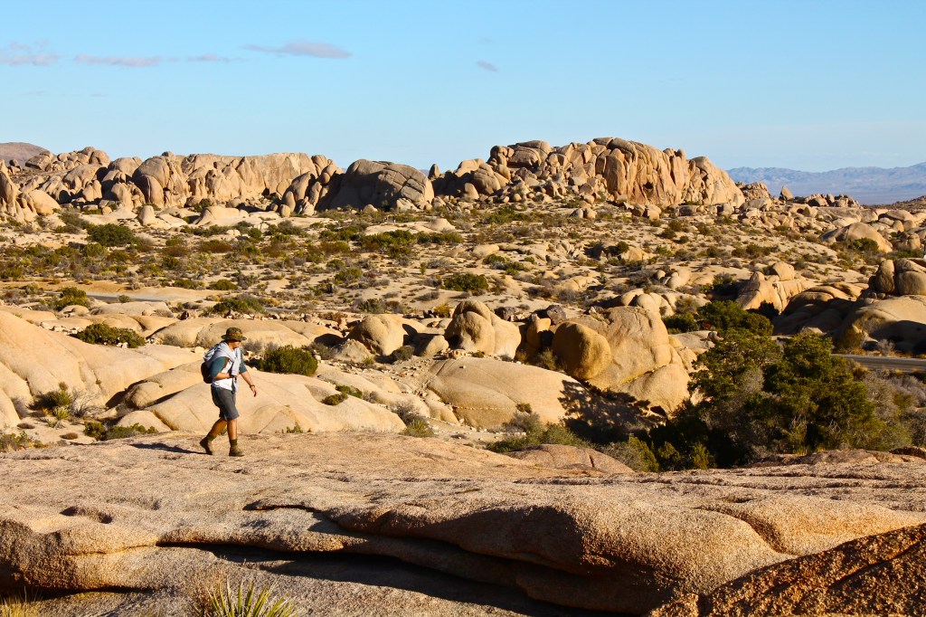 Skull Rock Trail At Joshua Tree National Park One Cool Thing Every 9684